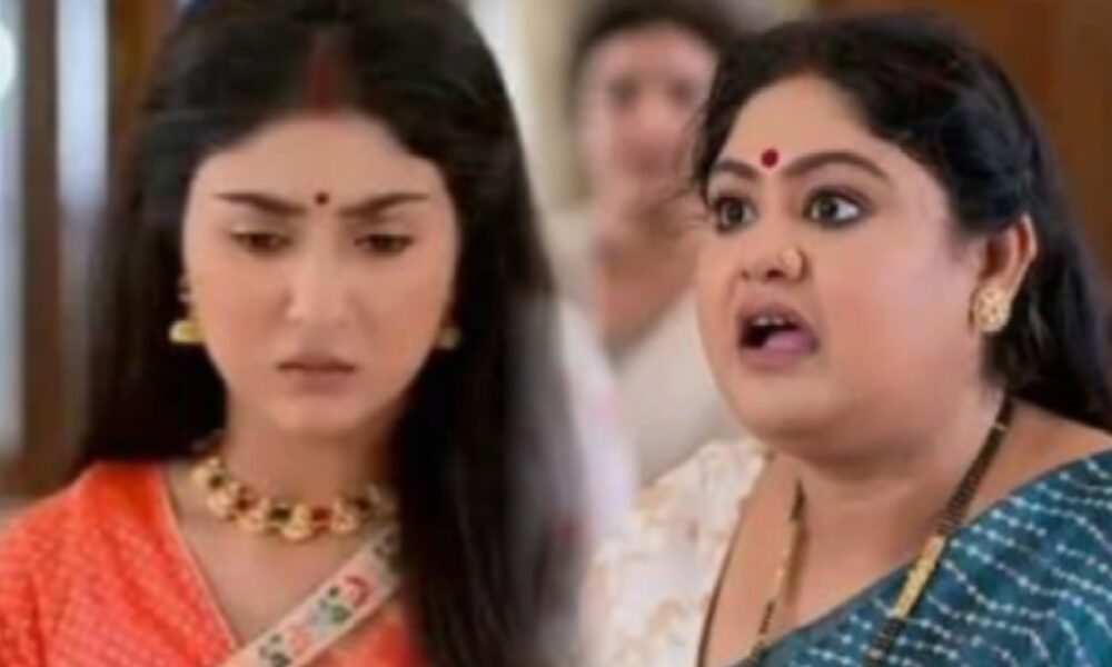 Nabab Nandini: কতবার মানুষ ভাবেন যে নন্দিনীকে কিছু বলবেন না তারপরেও ...