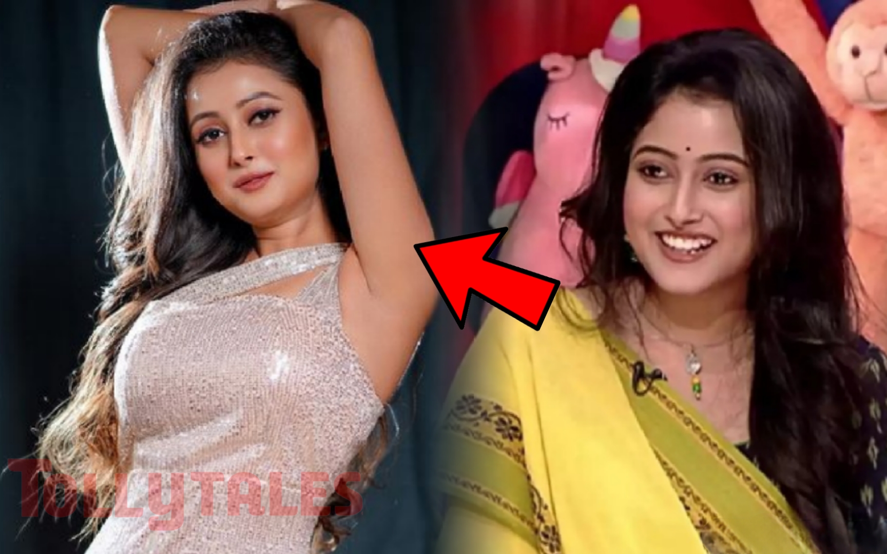 Nim Fuler Madhu: শাড়ি ব্লাউজ পরা ঘরোয়া লক্ষ্মী বউ পর্না ওই সব ছেড়ে ...